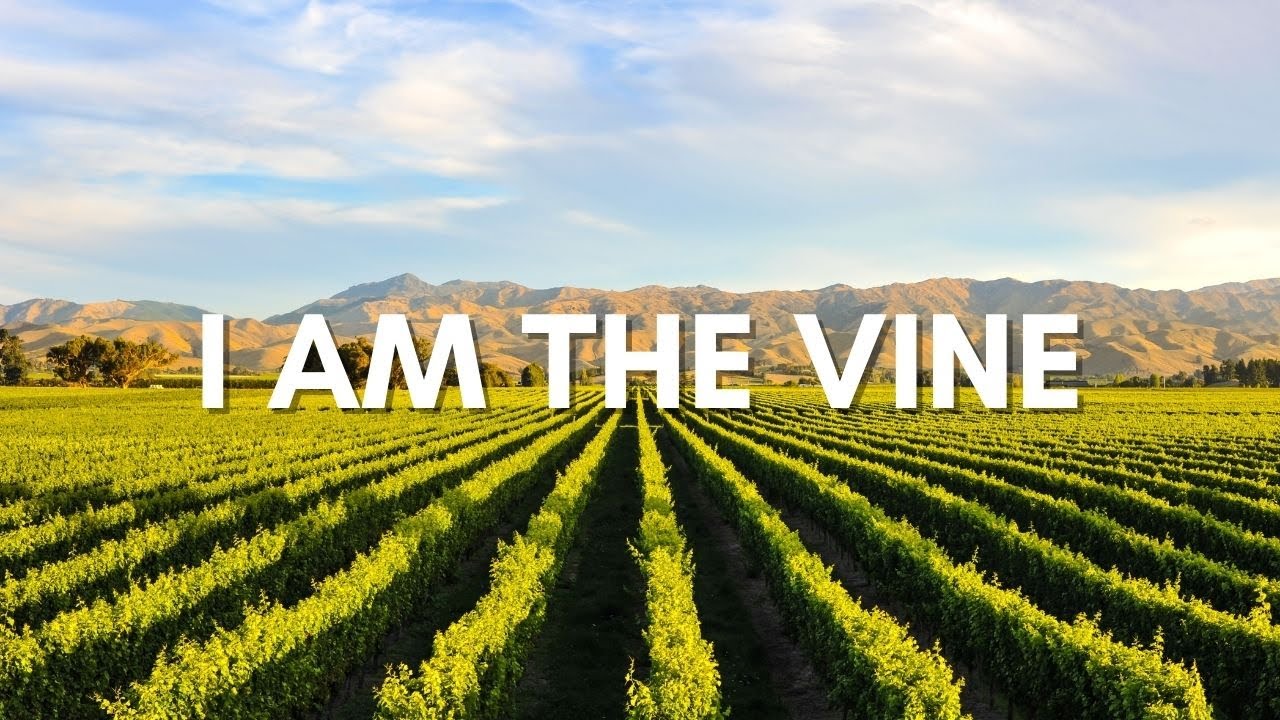 I Am The Vine (Lyric Video) - YouTube