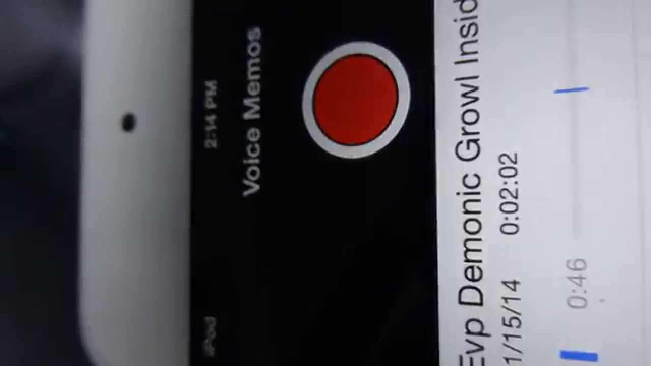 EVP Voice of A Demonic Growl / Dog Spirit Inside Rabbit - YouTube