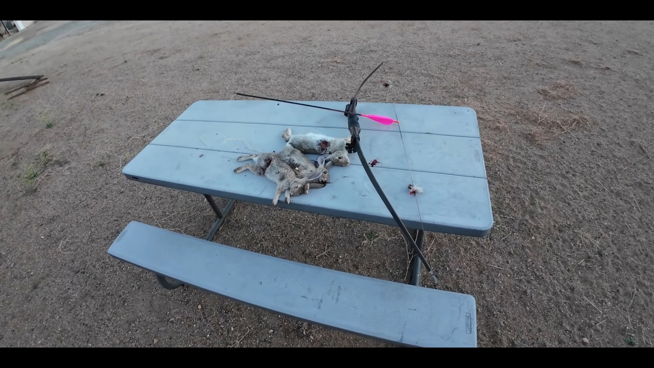 California Traditional 35# MERLE Bow Rabbit Hunting - YouTube