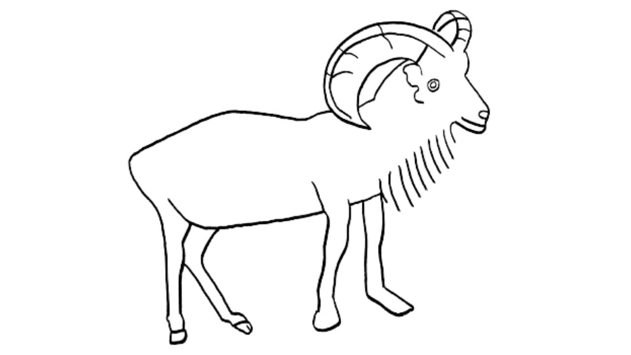 How to Draw an Urial | Easy Step-by-Step Drawing Tutorial - YouTube