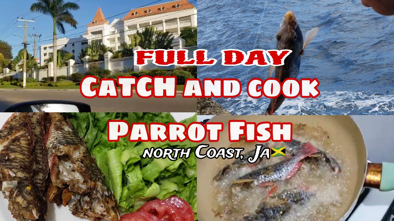 FULL DAY OF FISHING CATCHING PARROT FISH AND COOKING THEM | FISH & COOK ...
