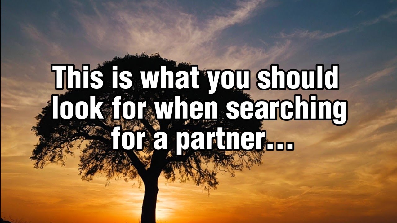 When Searching For A Partner, This Is What You Should Look For ...
