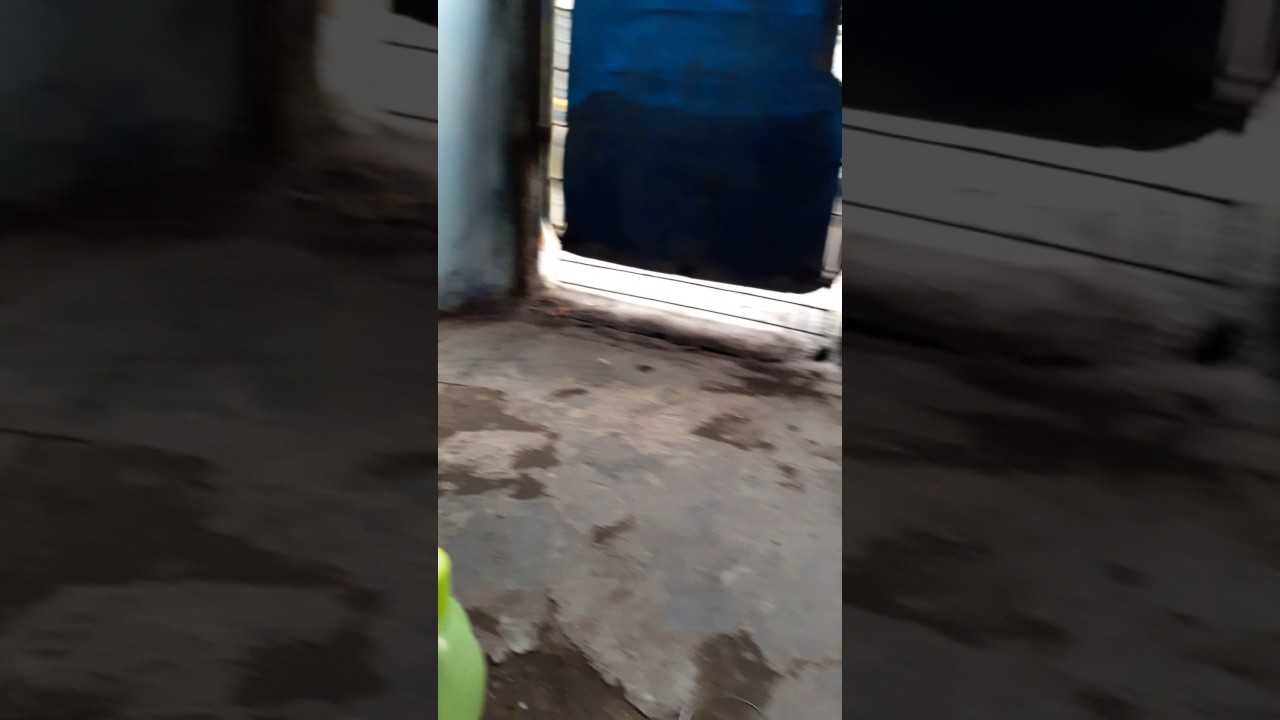 Ngintip Youtube
