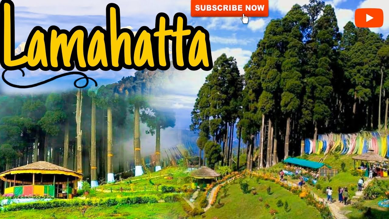 Lamahatta Darjeeling | Lamahatta Eco Tourism | Tinchule View Point ...