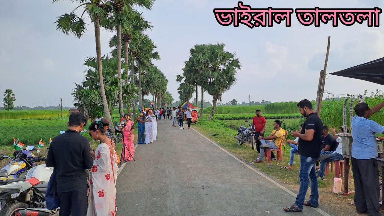 ভাইরাল তালতলা/Viral Taltala/Best Place in Gangnapur/Youtube Famous ...