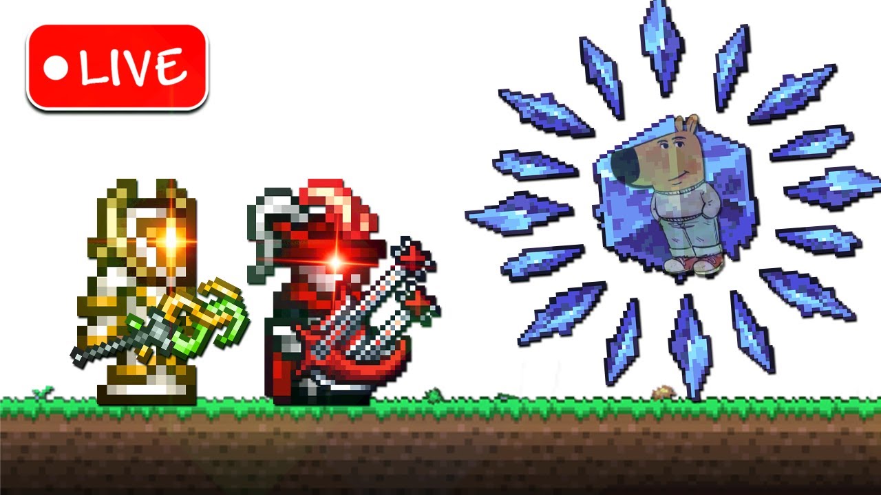 HEALER AND BARD VS TERRARIA CALAMITY MOD - LIVE - YouTube