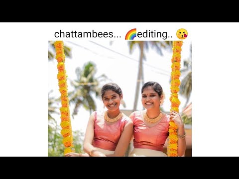 New video of chattambees... 🌈🔥.. Chattambees fan come here.. 😌# ...
