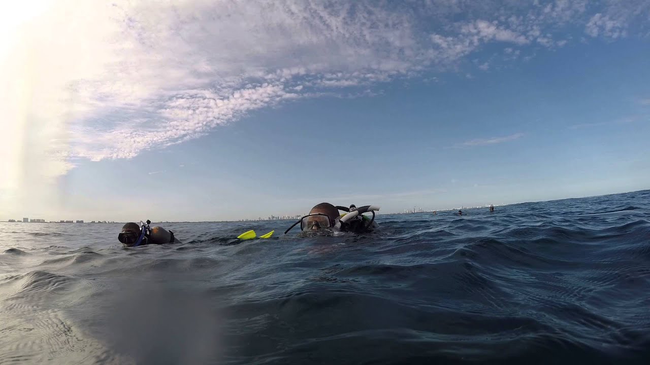 Return to surface 1st Dive - YouTube