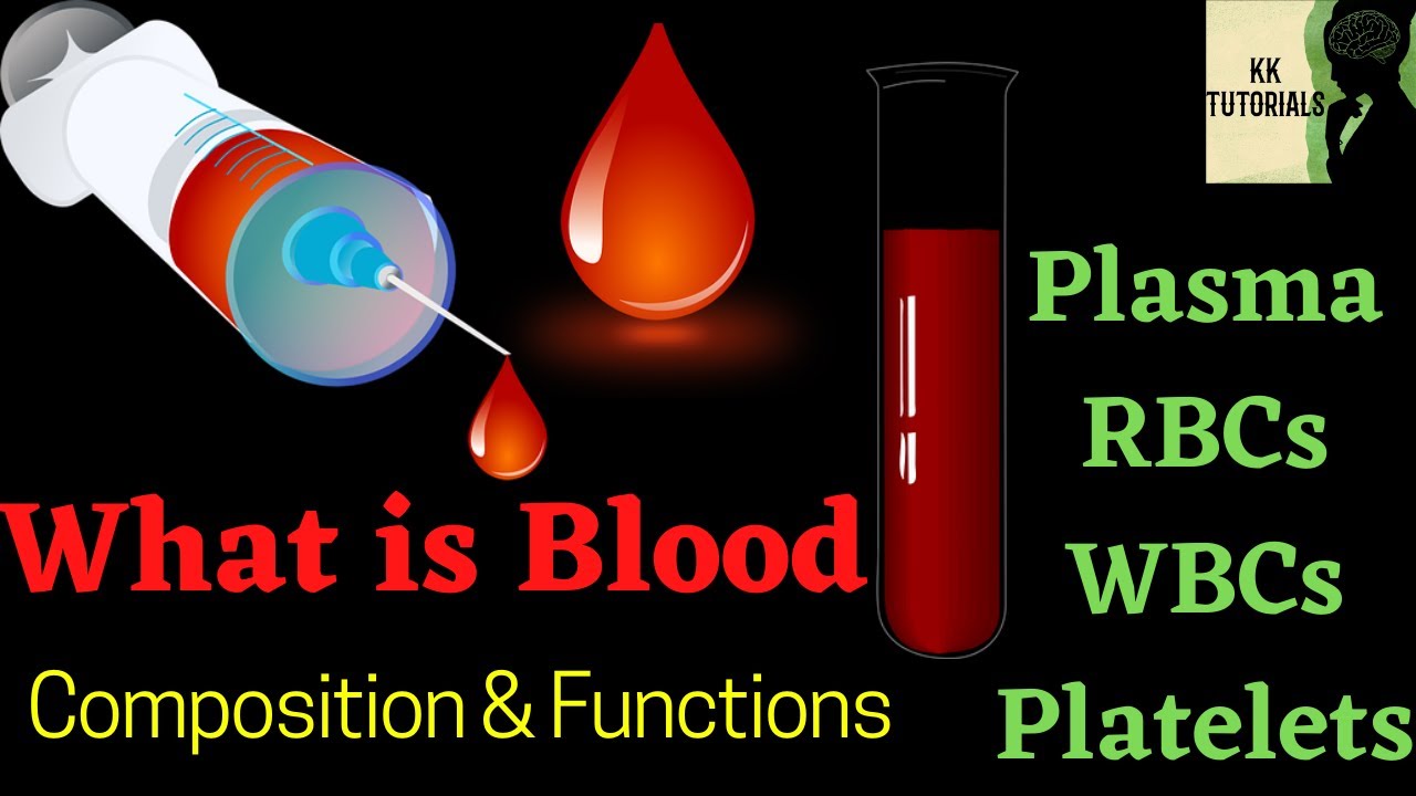 What is Blood | Blood Composition I RBC WBC Platelets Plasma ...