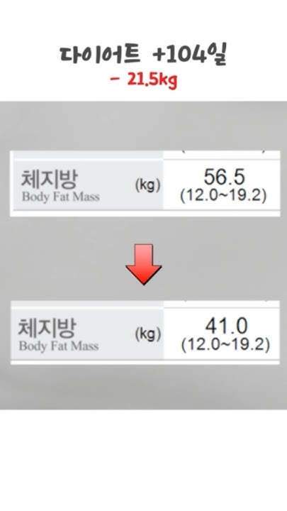 -21kg 다이어트 방법 공개! (feat. 여리한다이어트) - YouTube