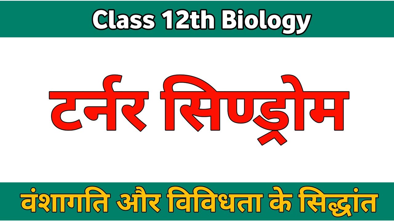 टर्नर सिण्ड्रोम किसे कहते हैं class 12th biology / turner syndrome kya ...