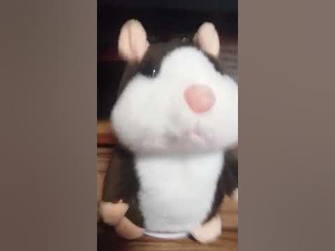 хомяк поет - YouTube