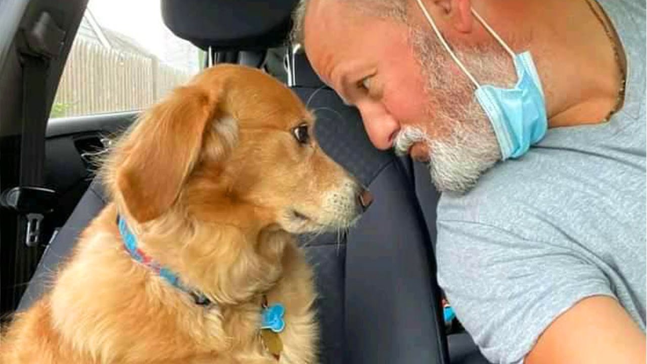 Laugh hard NOW with Funniest Moments Dog and their Human! - Cute Animal ...