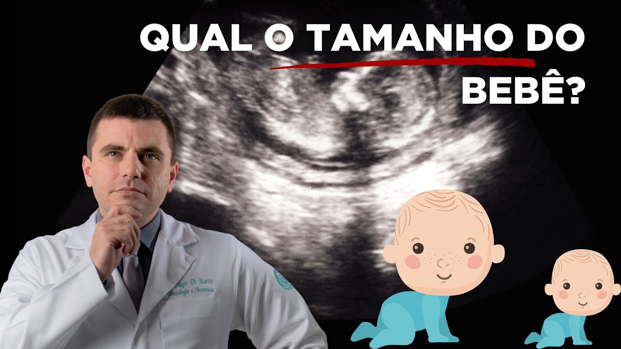 Como saber o TAMANHO DO BEBÊ na BARRIGA? - YouTube