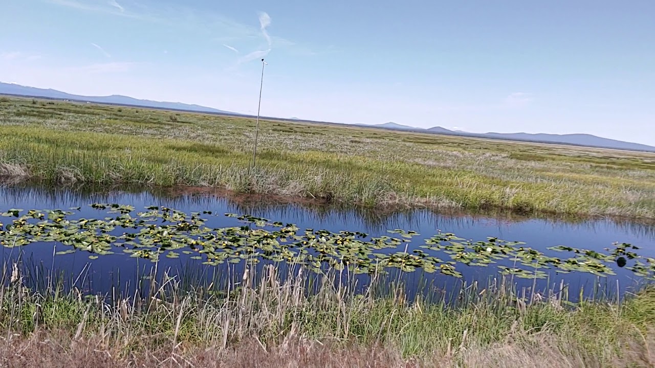 Klamath Marsh for Wildlife - YouTube