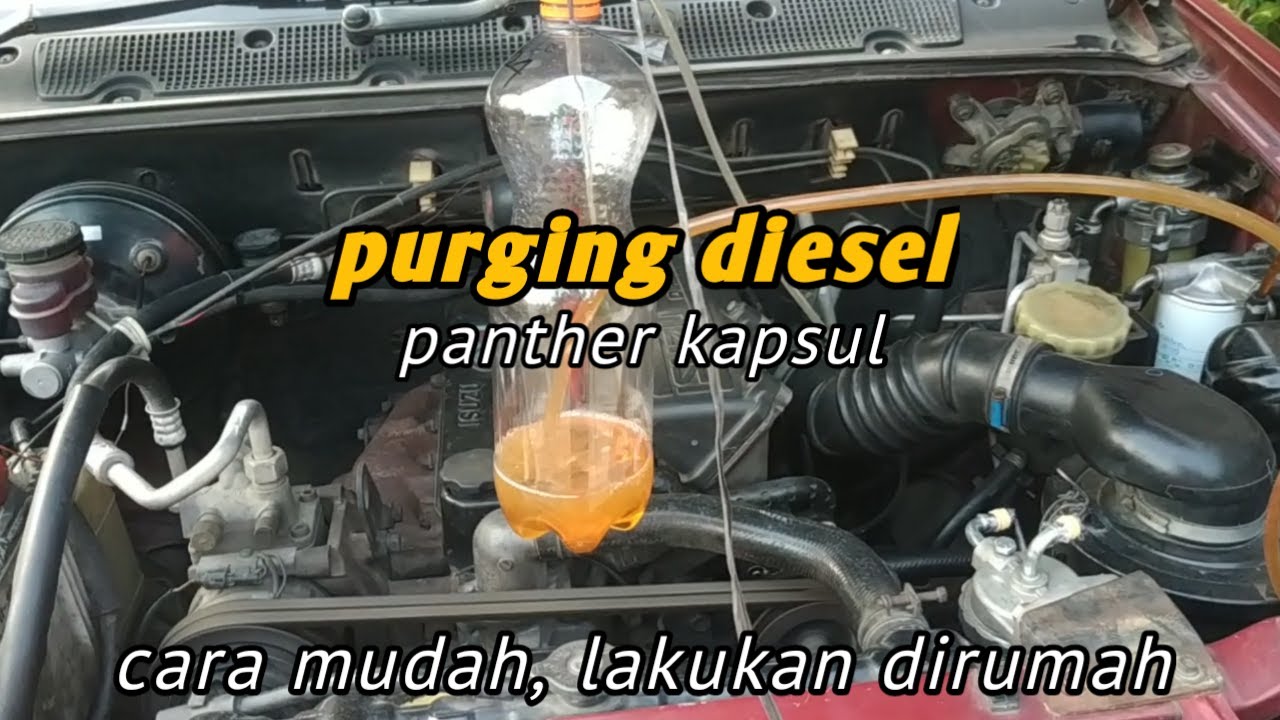 purging diesel, panther kapsul, cara mudah lakukan dirumah - YouTube