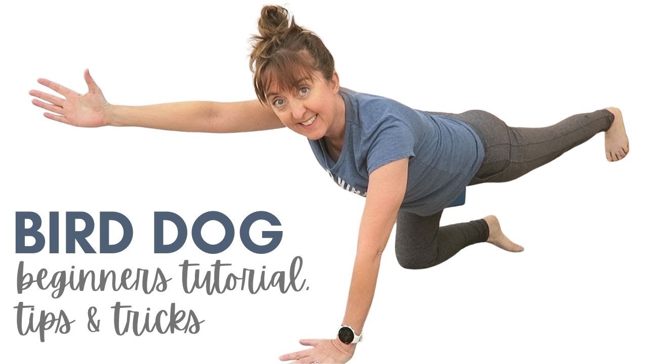 How to do Bird Dog for Beginners - Quick Tutorial and 3 Tips to ...