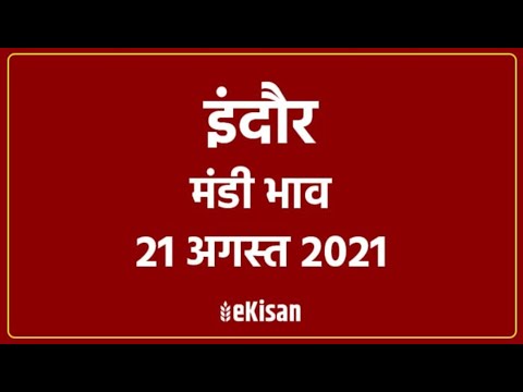 indore mandi bhav 21 August | ekisan mandi bhav - YouTube