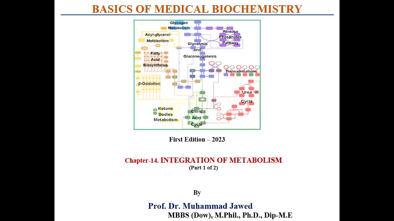 Ch-14. (Part 1 of 2) INTEGRATION OF METABOLISM-Basics of Medical ...