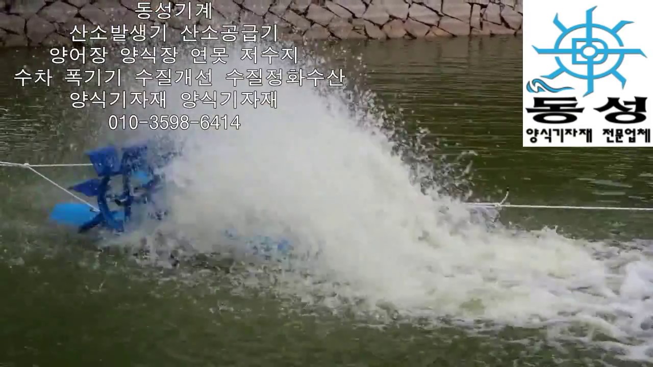 수차 폭기기 양식기자재 수산양식기자재 양어장 양식장 연못 저수지 수질정화 수질개선 Youtube