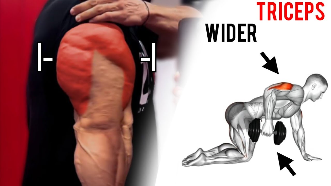 workouts tricep to build wider triceps - YouTube