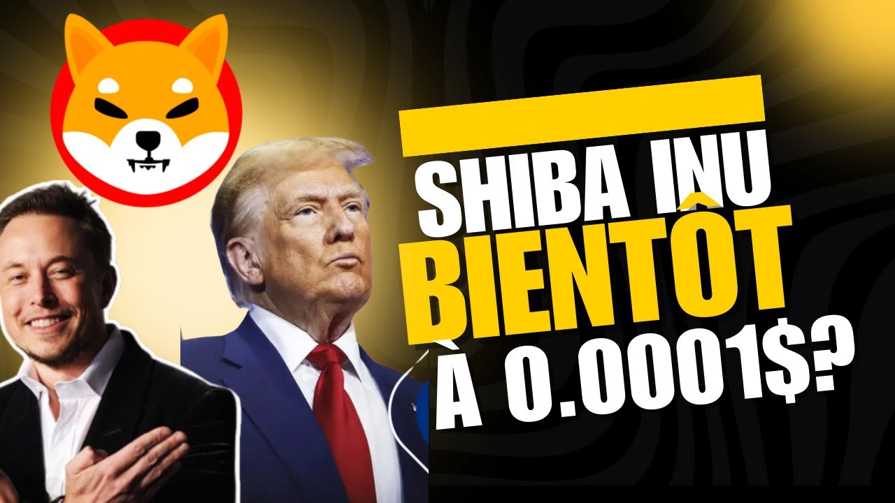 🚨La Team Shiba inu prépare du lourd avec le duo Donald Trump et Elon ...