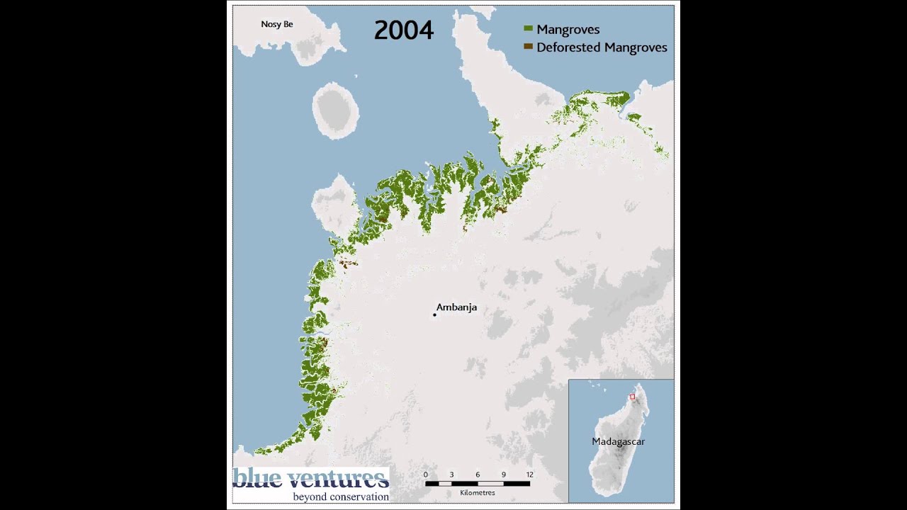 Ambaro-Ambanja Bay Mangrove Deforestation Time Lapse - YouTube