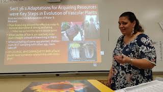 BSC 2011C Ch 36 Resource Acquisition & Transport in Vascular Plants