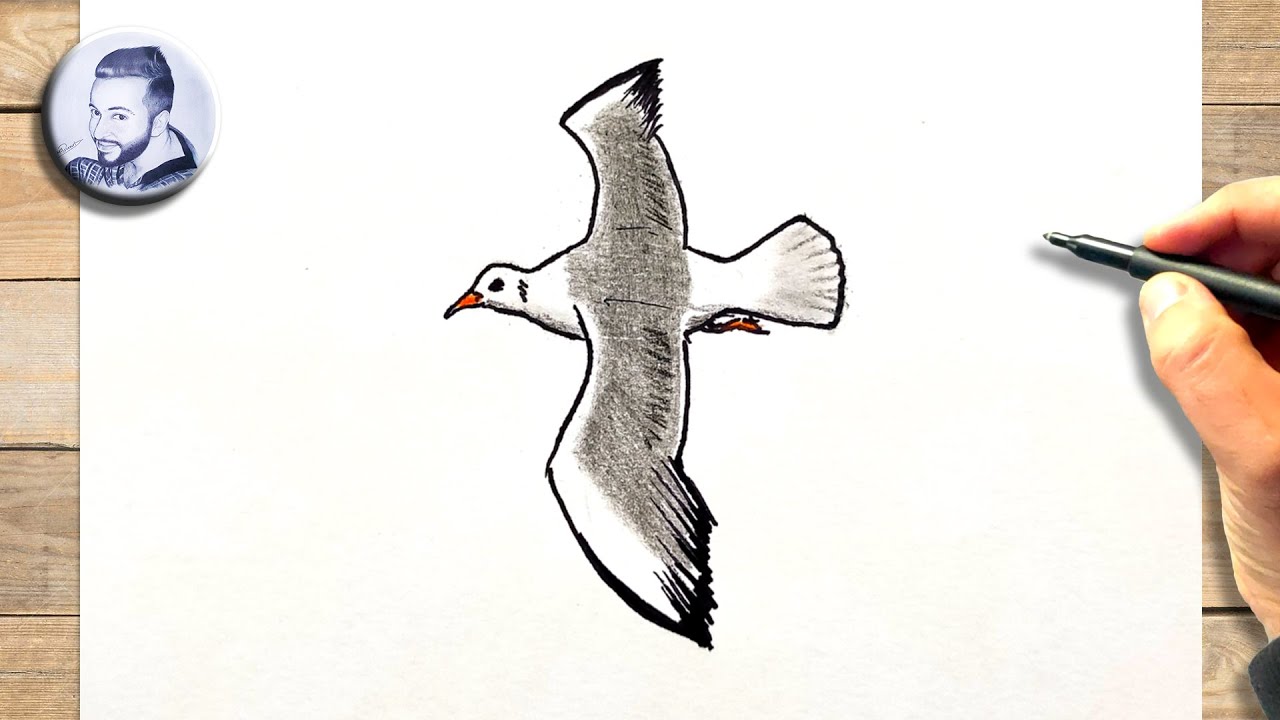 Dessin De Mouette Les Mouettes Personnage Pixar Du Monde De Nemo