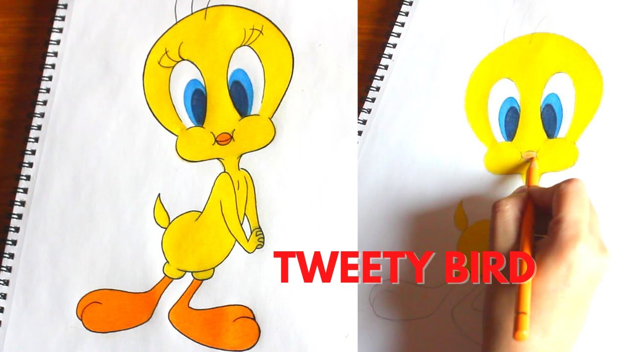 How to Draw Tweety Bird | Step by step Tutorial | Color pencil drawing ...