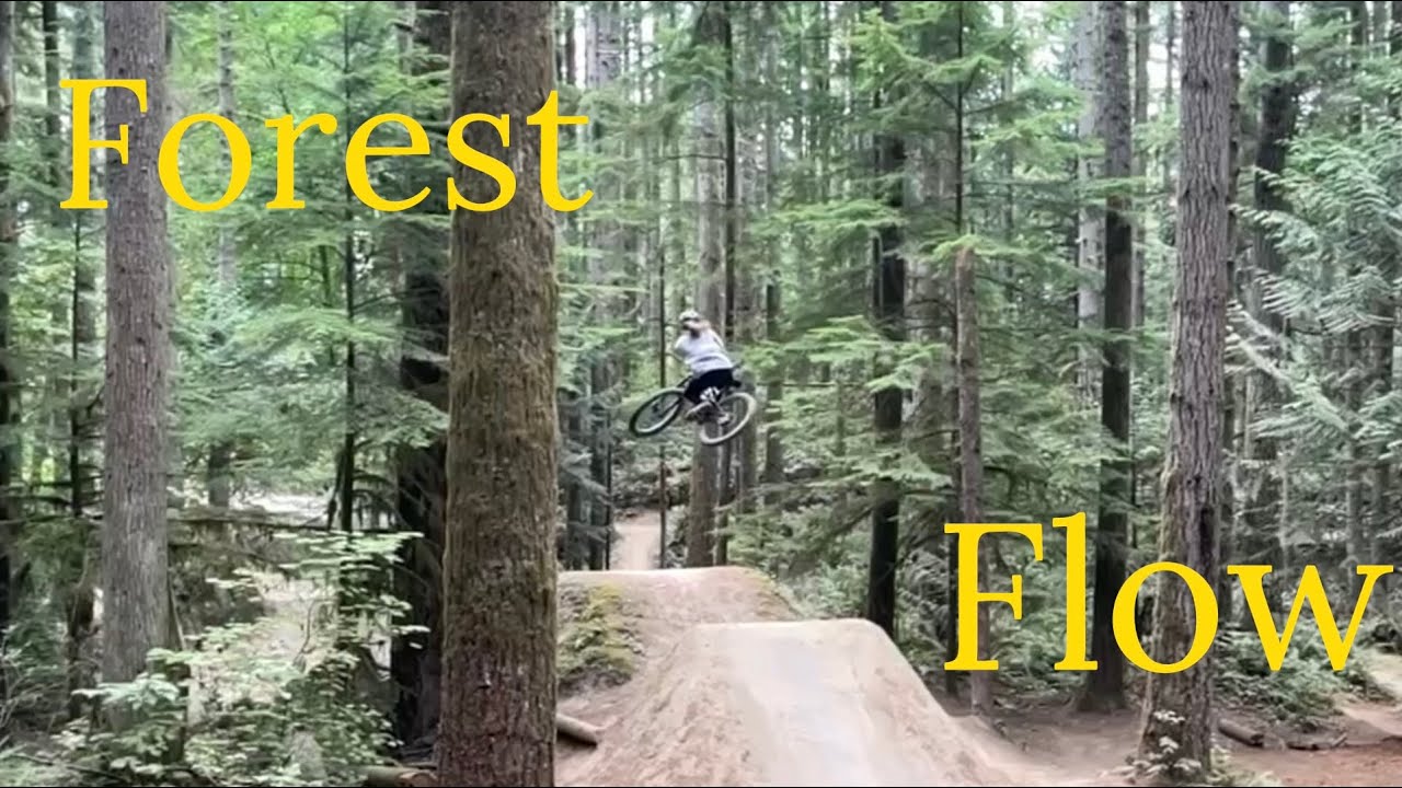 Forest Flow - LcMtb - YouTube