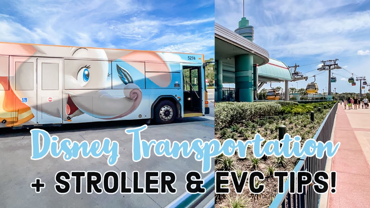 How To Get Around Disney World 2023 | Disney World Transportation Guide ...