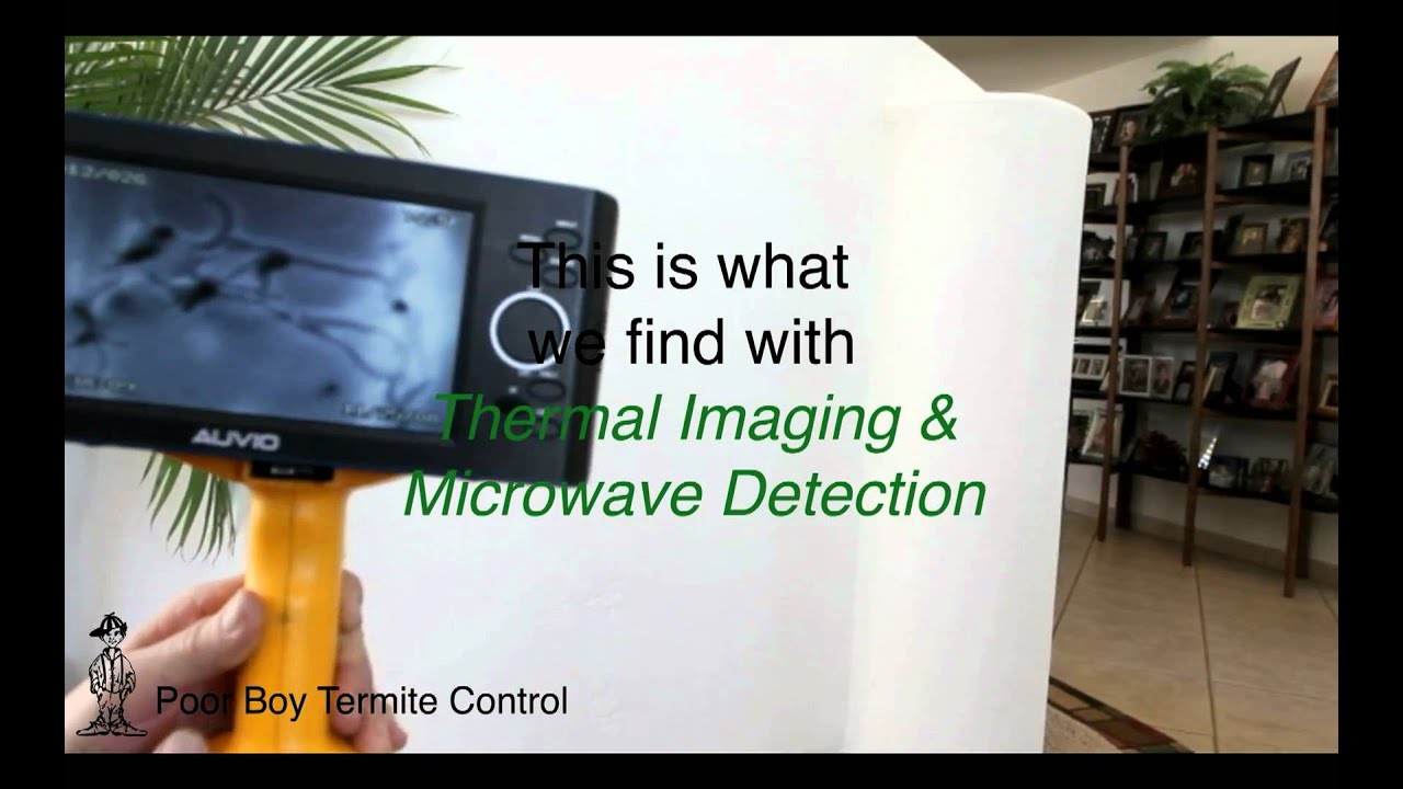 Thermal Imaging termite control - YouTube