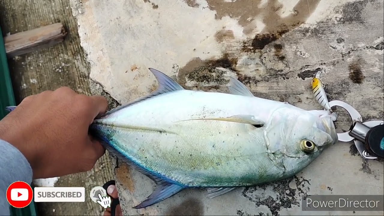 Batanes fishing @ basco pier(patago😁)/UL fishing... - YouTube