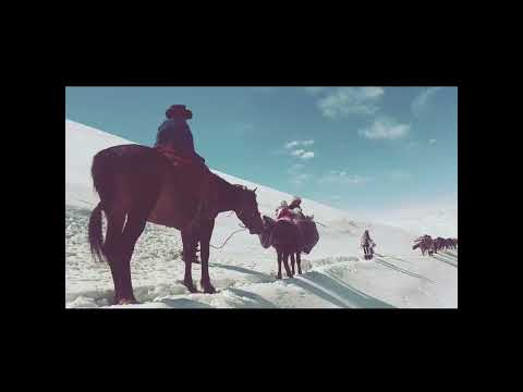 Манас таануу -2026.Чулук МЧББУ мекемеси 
