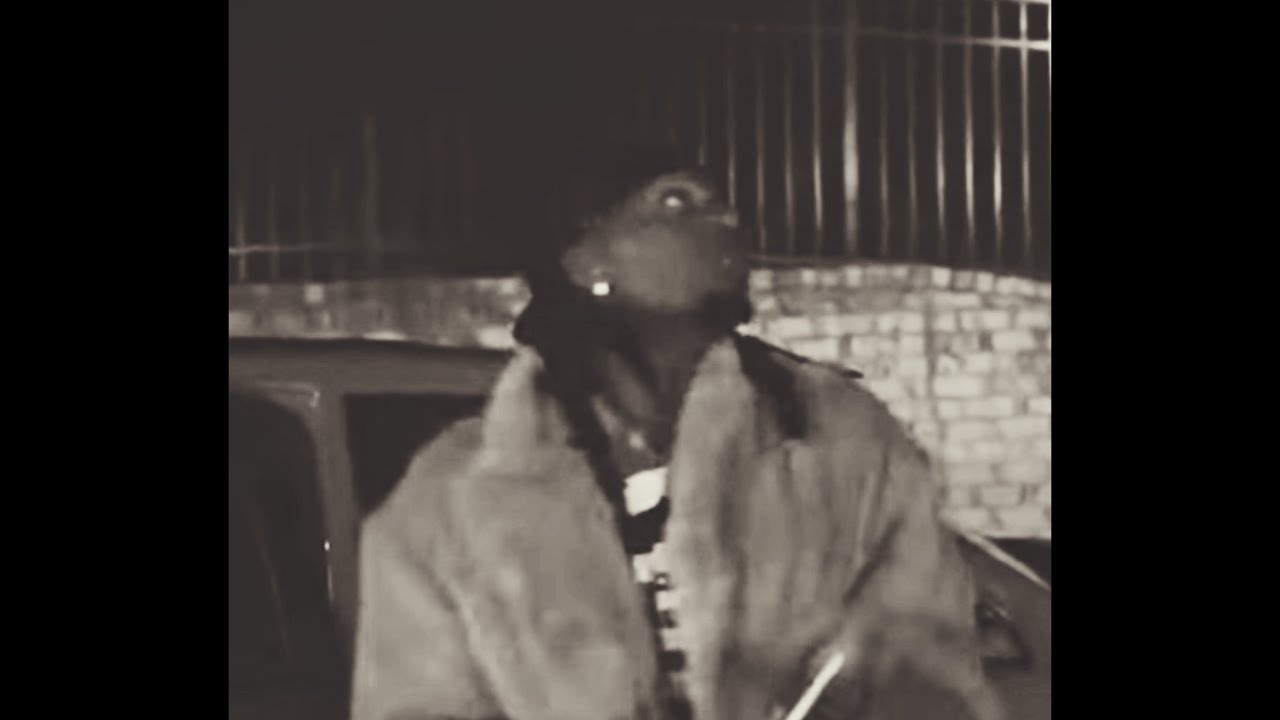 [FREE] CARTI x HOODBYAIR x EVILJORDAN x BACKR00MS TYPE BEAT (BEAT ...