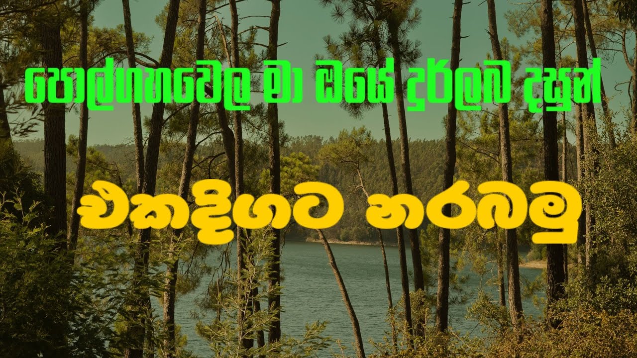 මා ඔය | ma oya | beautiful place in srilanka |Nature Most visited place ...