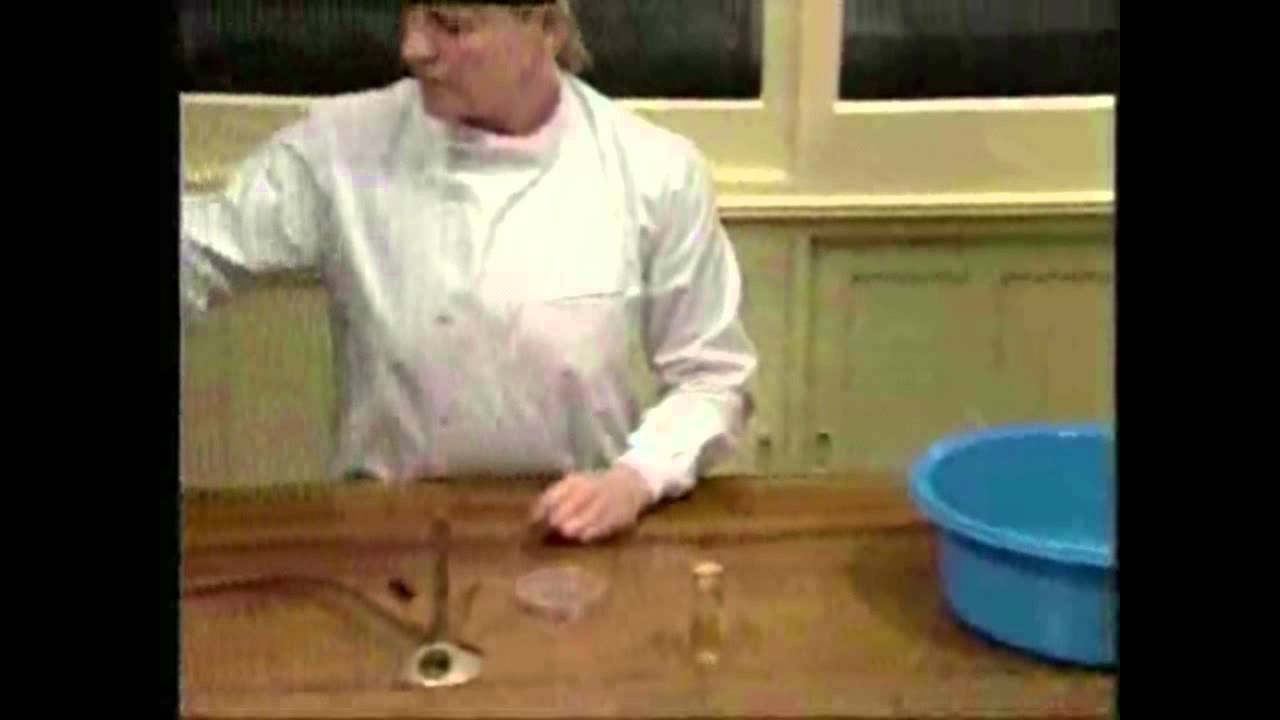 Introduction to Practical Microbiology - Classroom - YouTube