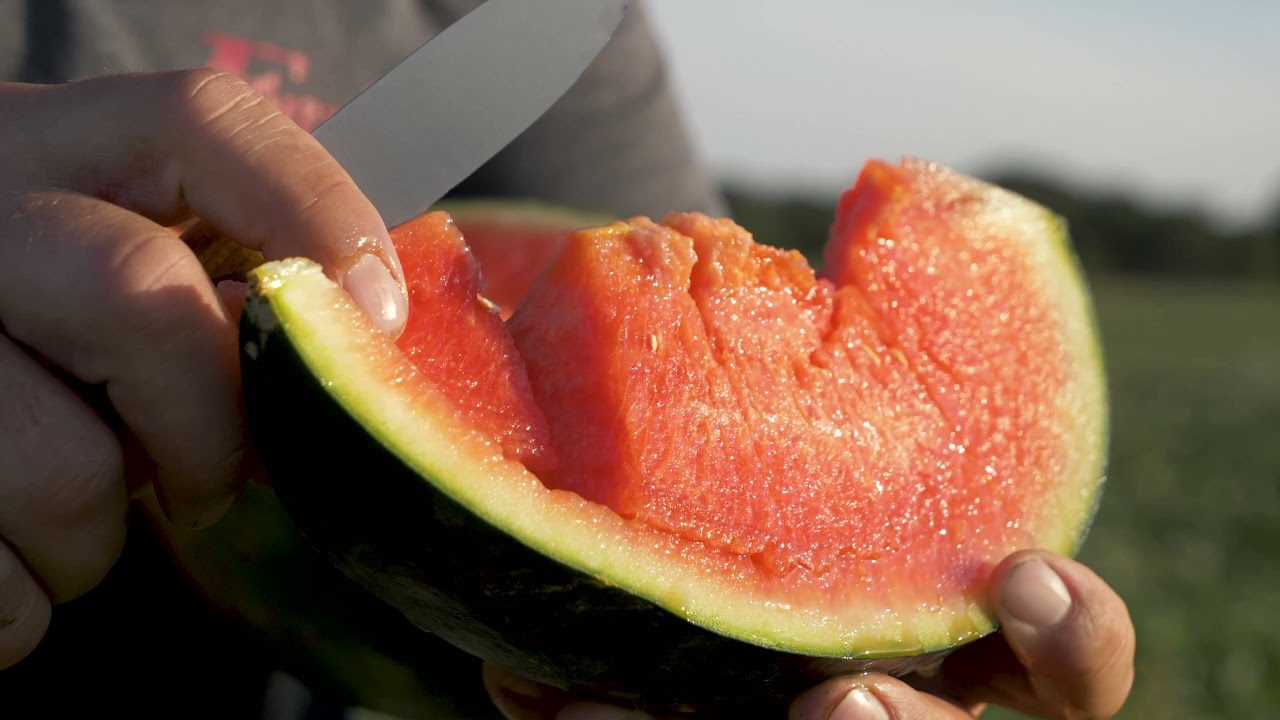 Grey Goose Watermelon & Basil - Vidéo de présentation - YouTube