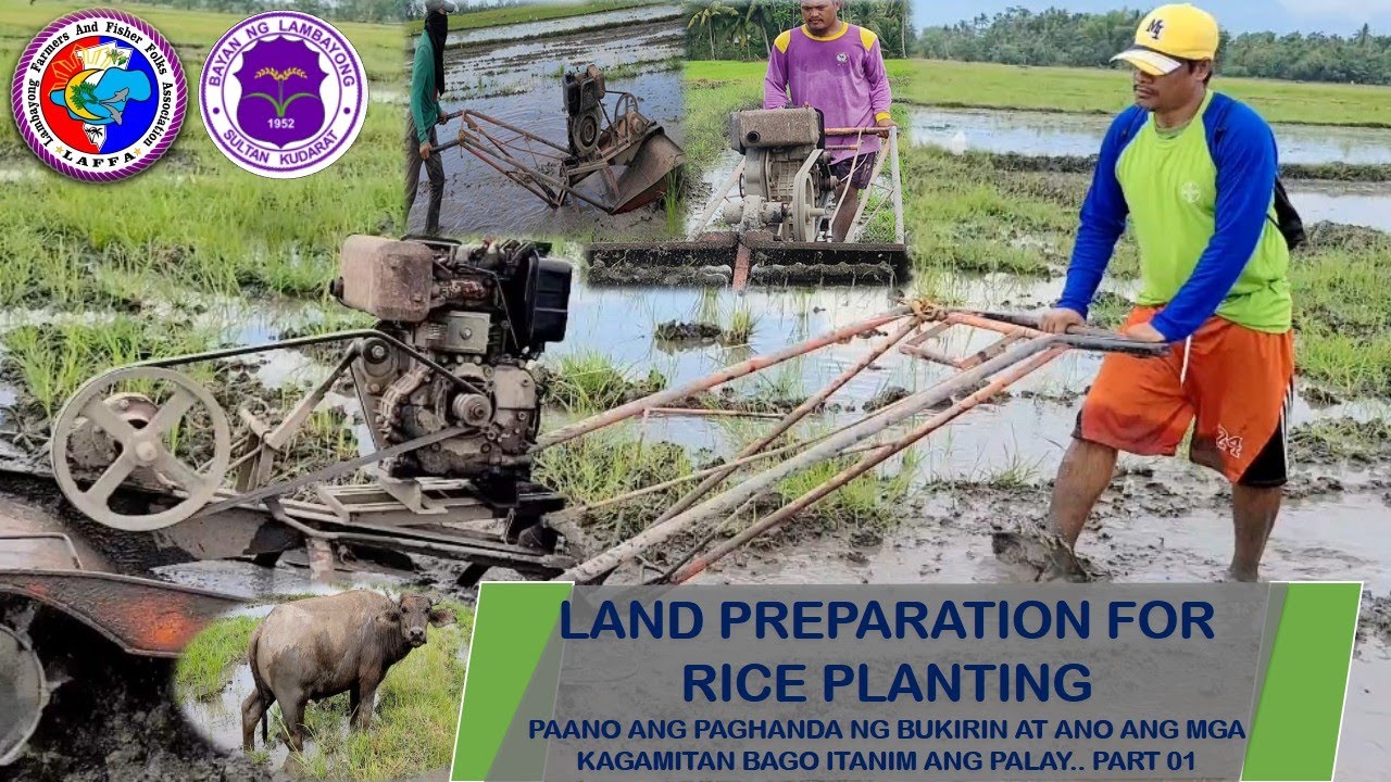 LAND PREPARATION FOR RICE FARMING GUIDE (BUHAY BUKID NI DOMJUAN)- PART ...