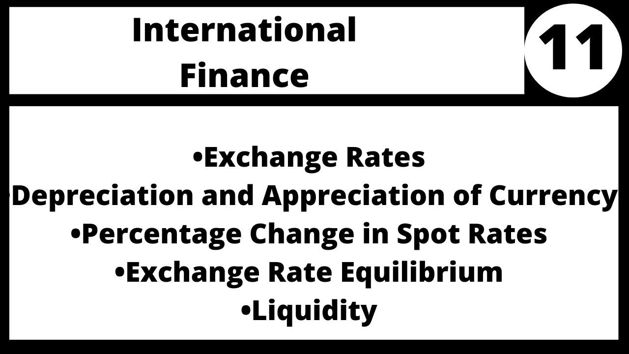 Measuring Exchange Rate Movements MGT530 LECTURE in Hindi Urdu 11 - YouTube