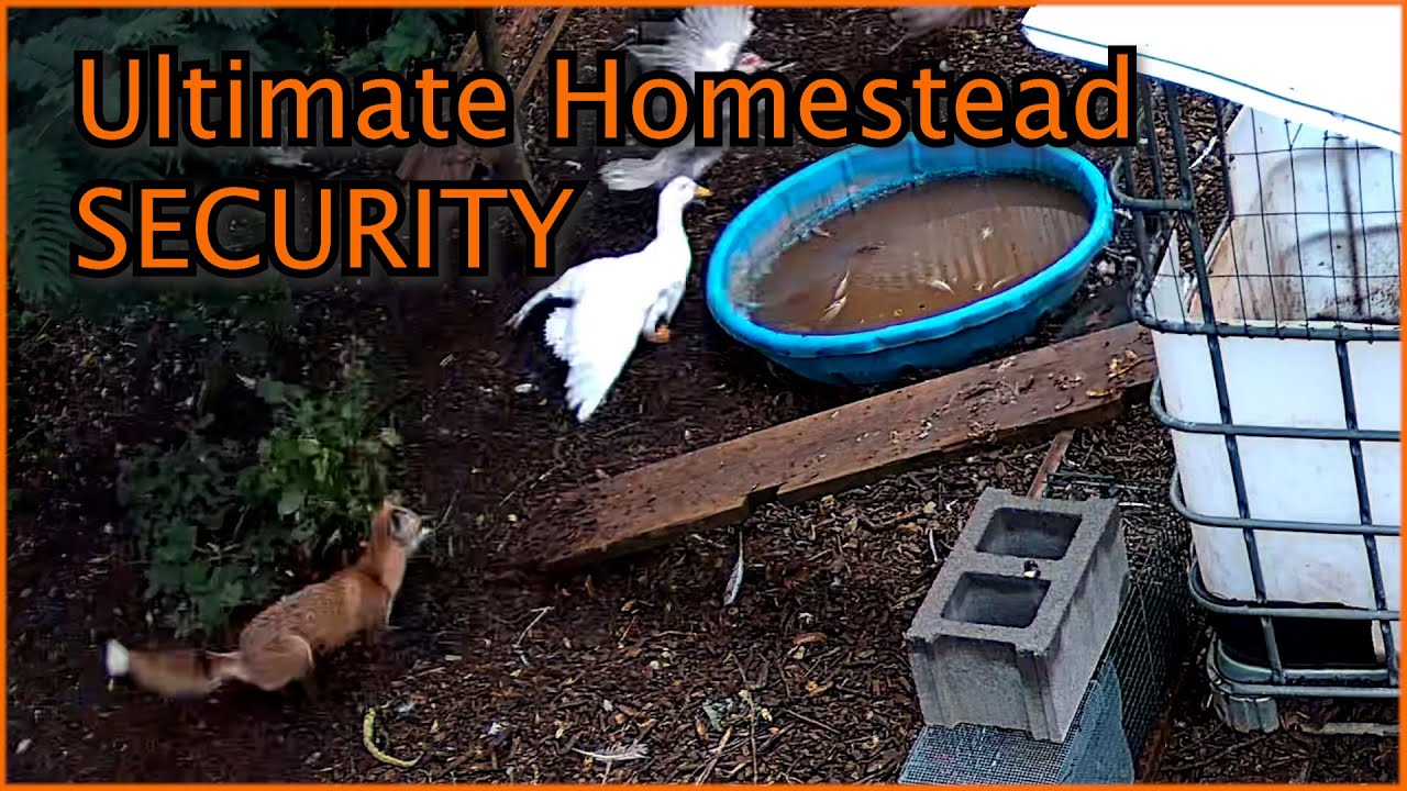 Cutting Edge Security for YOUR Homestead - YouTube
