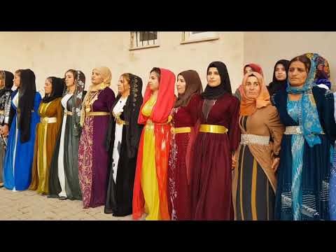 ŞEMDİNLİ ÜZÜMKİRAN DÜĞÜNLERİ SALİH ÇELİK