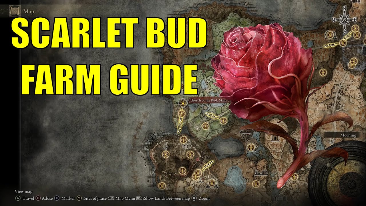 Elden Ring - Scarlet Bud Farm Guide - YouTube