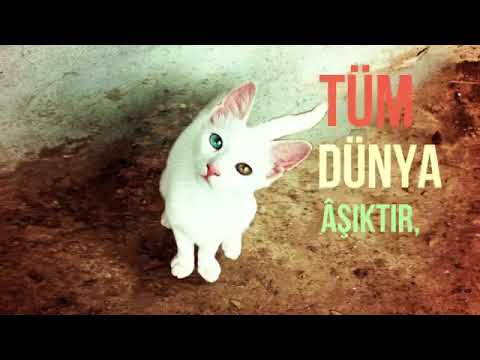Bu da bizim rap ımız beyler (TÜRK ASLA  ÖLMEZ)