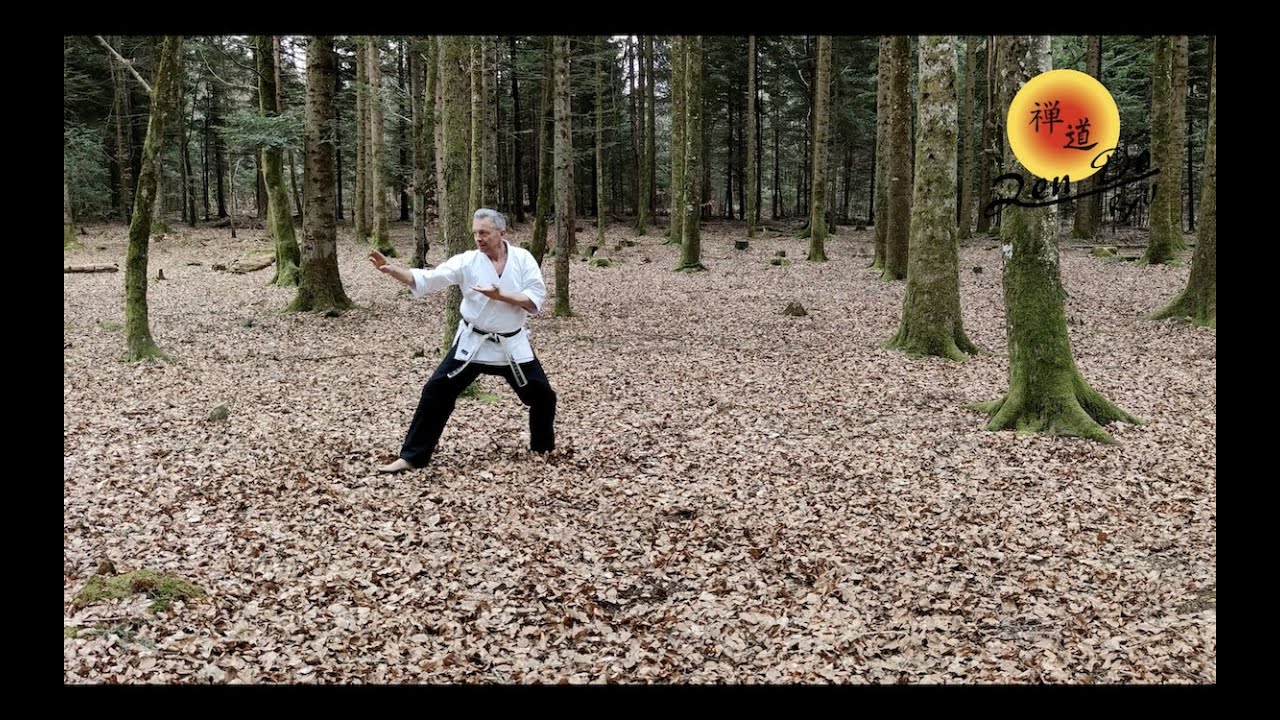 Concours Katas : Pinan Sono Ichi Kyokushin / Heian Shodan Shotokan ...