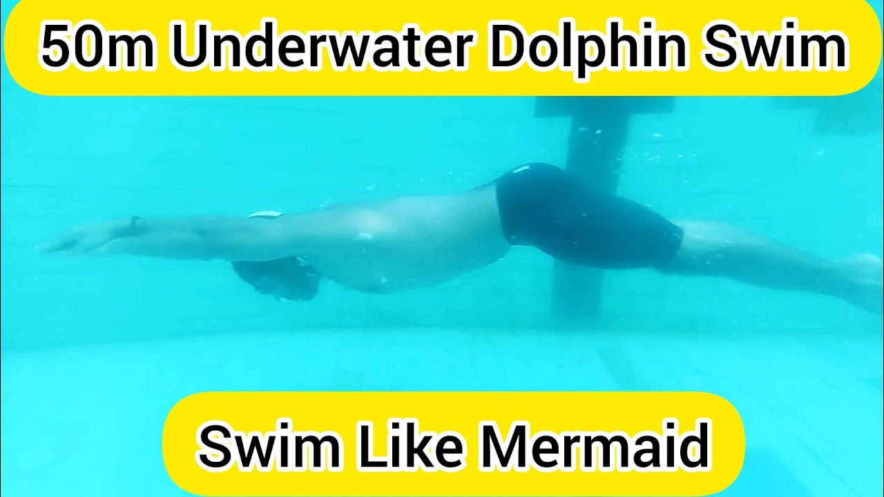 My 50m Underwater Dolphin Swim, Swim Like Mermaid - Underwater Swimming ...
