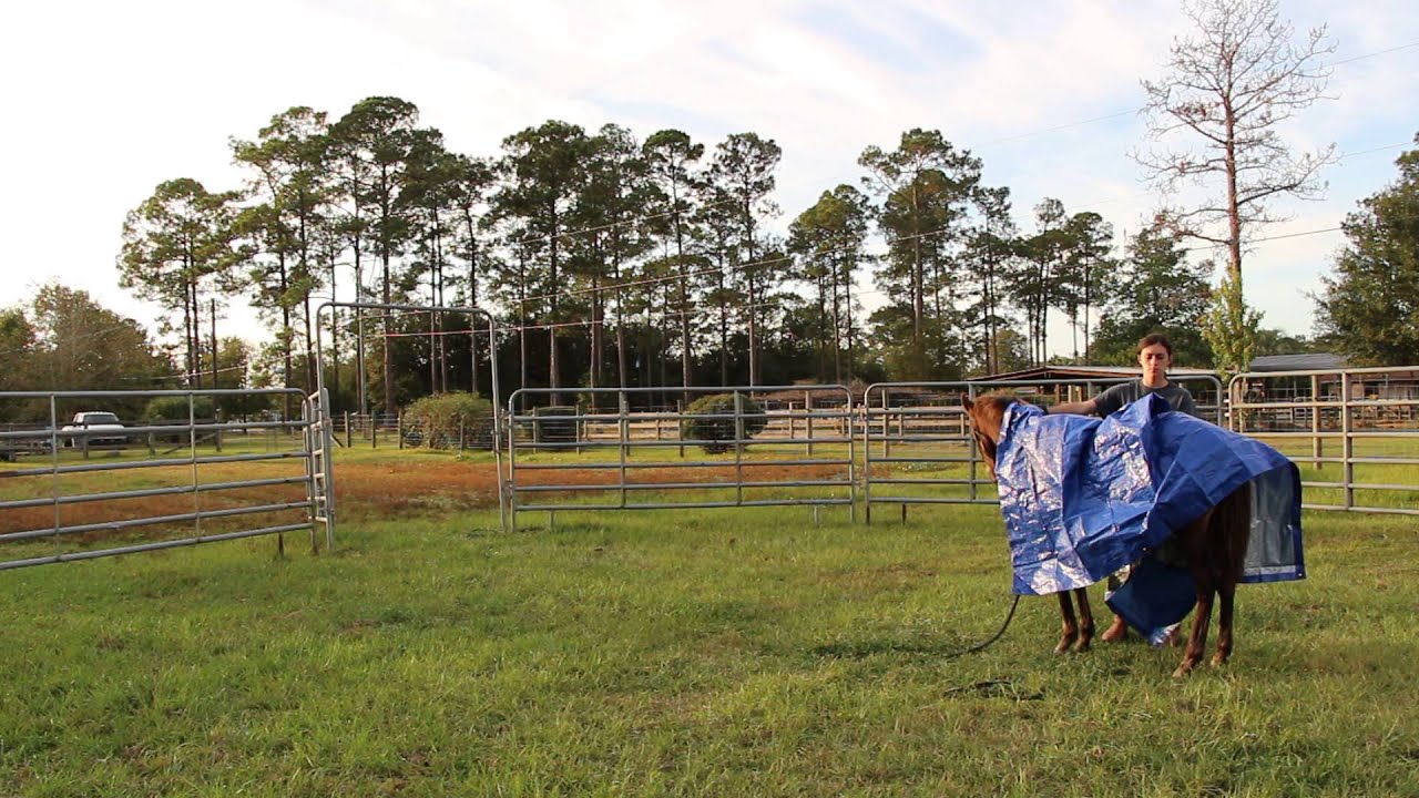 Gator And The Tarp 11/9/13 - YouTube
