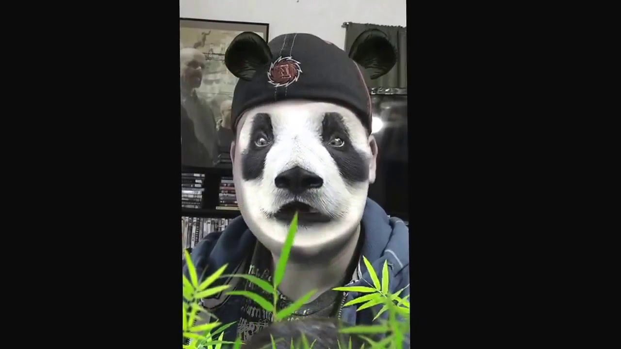 Snapchat Filter: Panda - YouTube