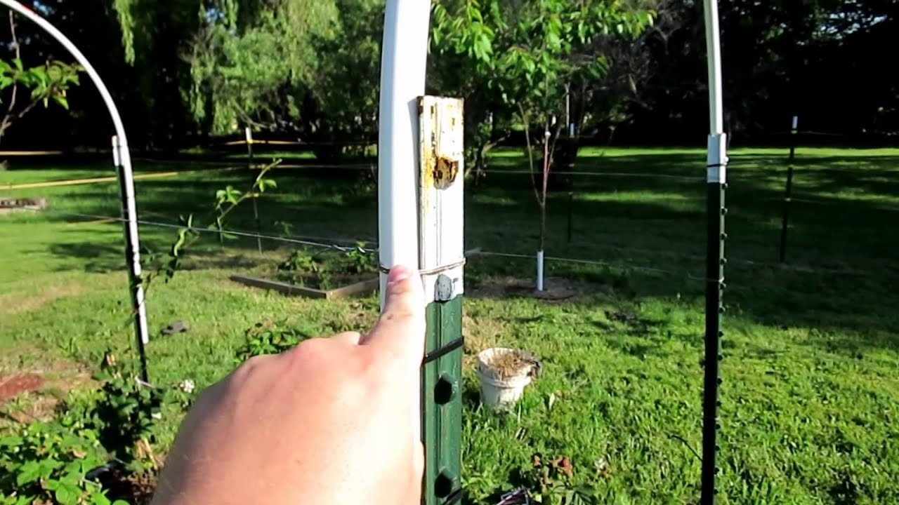 Raspberry hoop house - YouTube